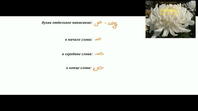 14 буква   Сод   арабского алфавита