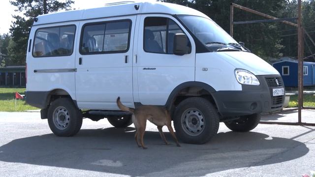 Без комментариев. Кинологи. 31.05.2022