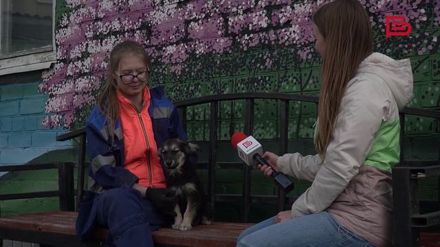 Сегодня отмечается Международный день собак