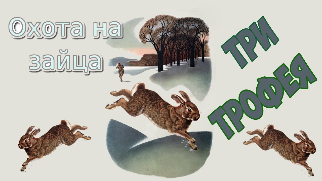 Охота на зайца. Три трофея-все в разных местах.