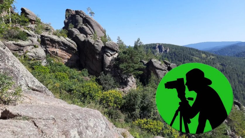 Расслабляющая музыка и звуки природы/  Пение птиц в национальном парке «Красноярские Столбы»