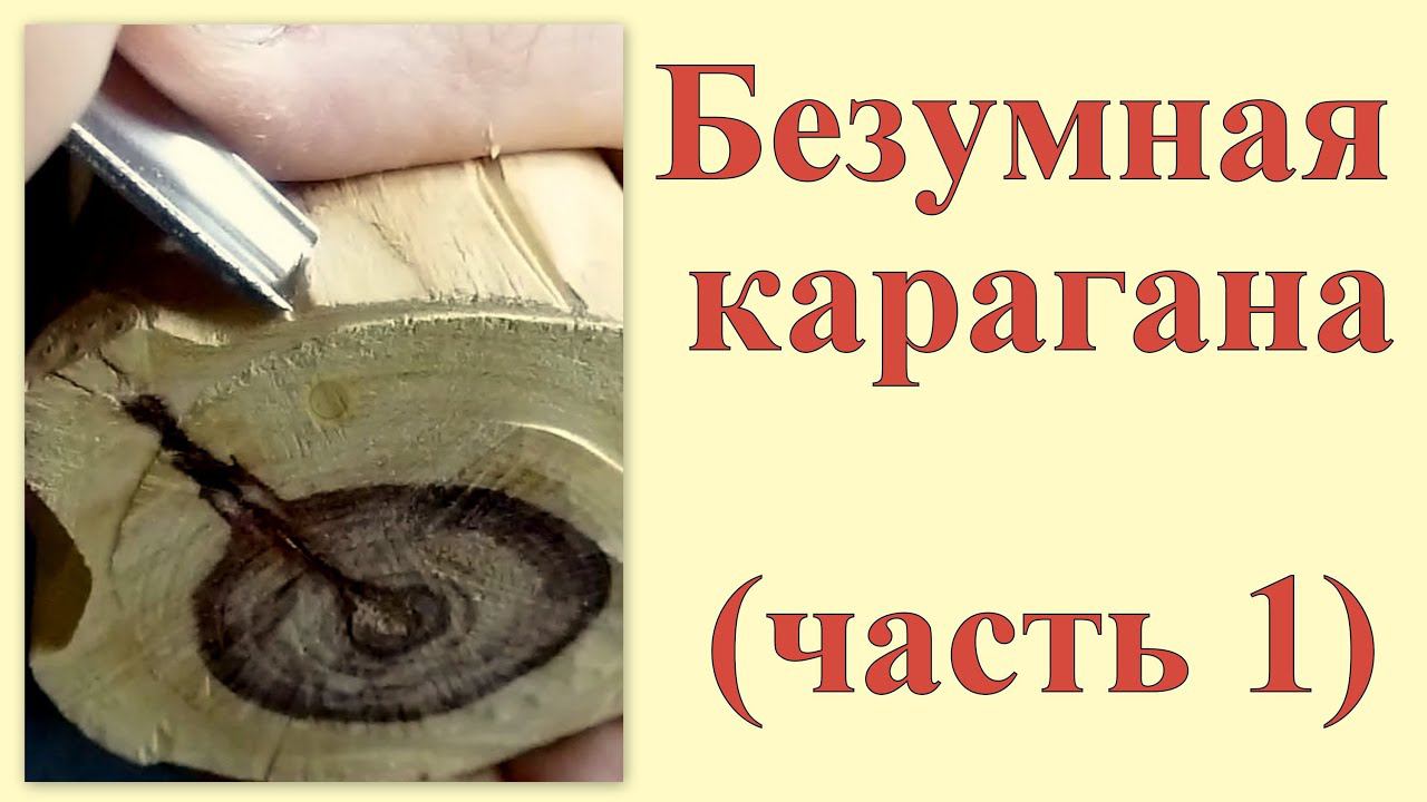 Безумная карагана (часть первая)