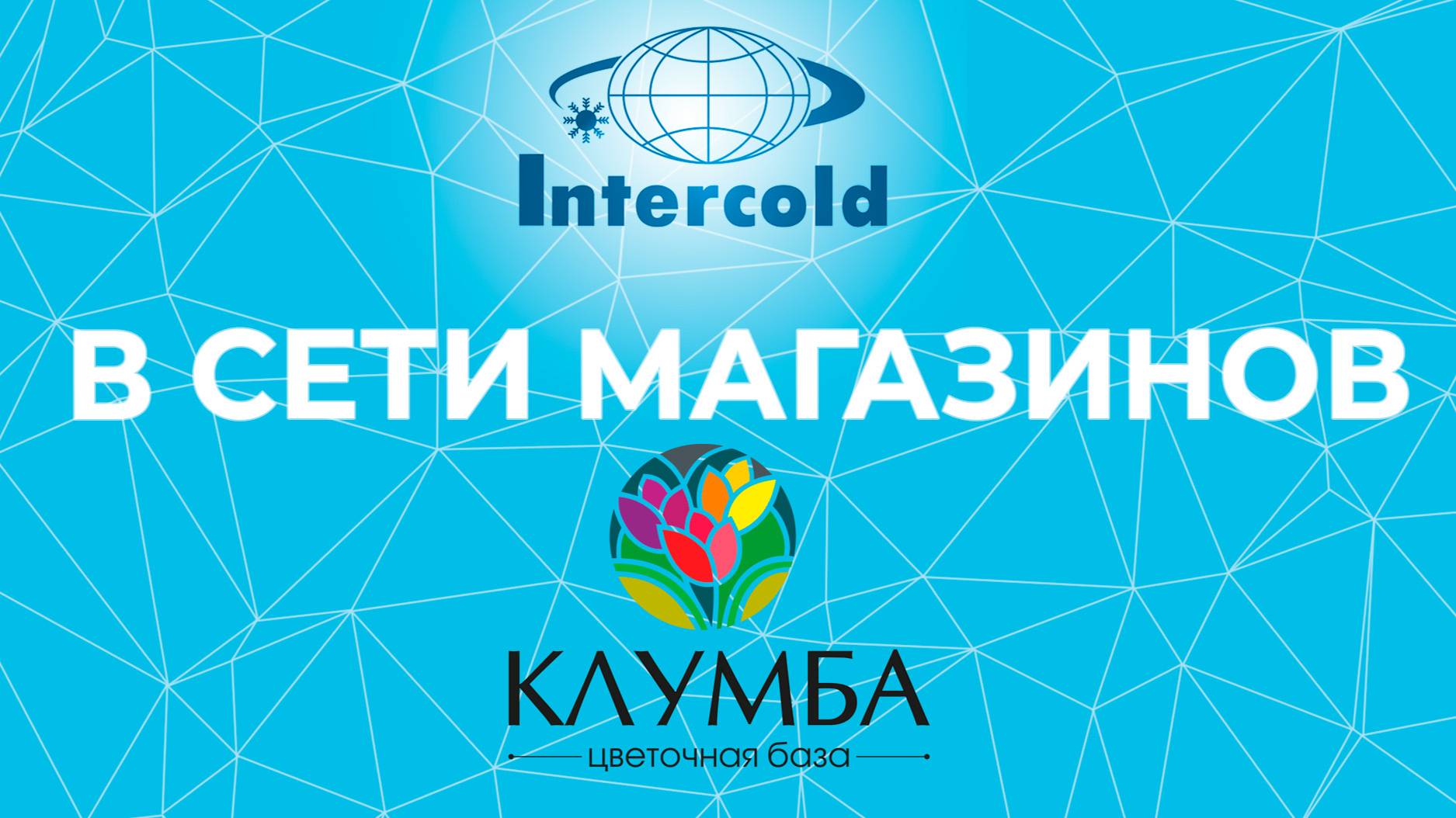 Intercold в сети цветочных магазинов "Клумба"