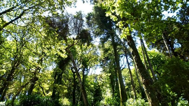 Ludwig Spohr. Symphony Nº9,Op.143(1850)«The Seasons»