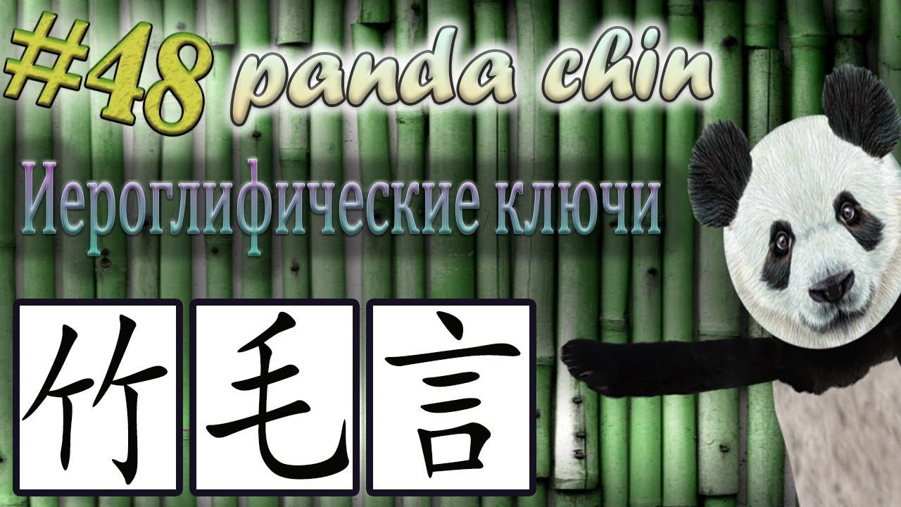 Урок 48. Ключи китайских иероглифов: 竹 (бамбук), 毛 (шерсть) и 言 (речь)