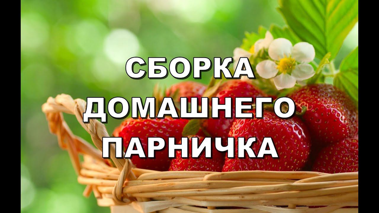 СБОРКА ДОМАШНЕГО ПАРНИЧКА