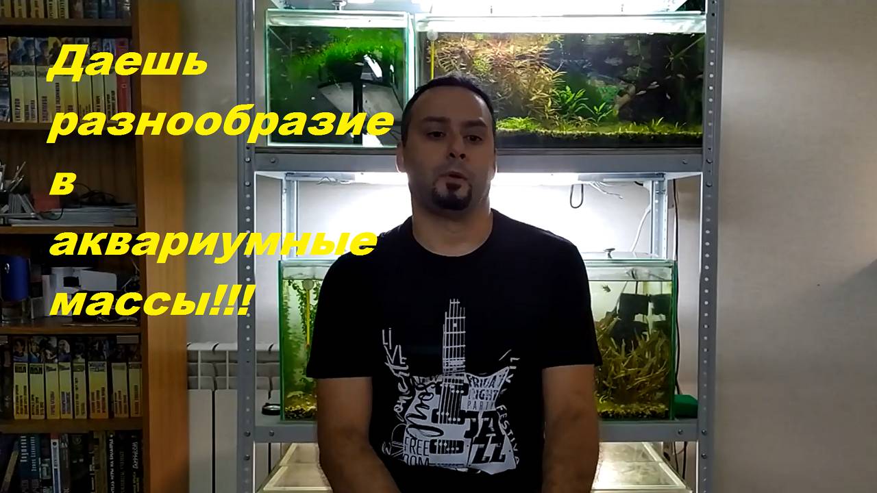 Ну, за разнообразие! Почему в наших аквариумах один ширпотреб! (Архив от 23.09.2021)