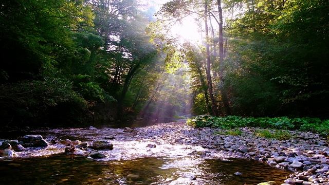 Медитация. Доброе утро