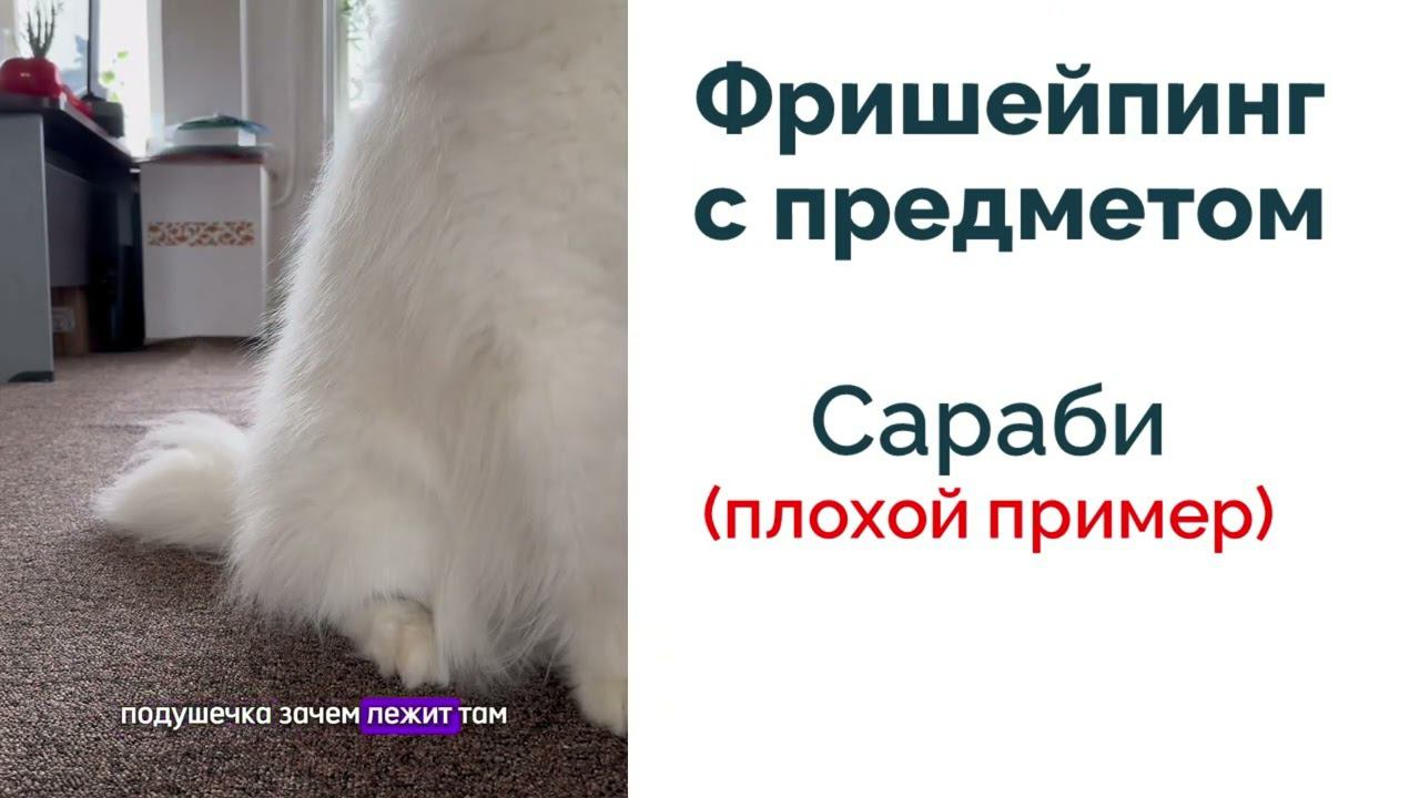 5. Фри шейпинг с предметом. Плохой пример. Сараби