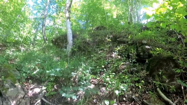 По грибы 30.06.2021. Новопрохладное. Майкопский район