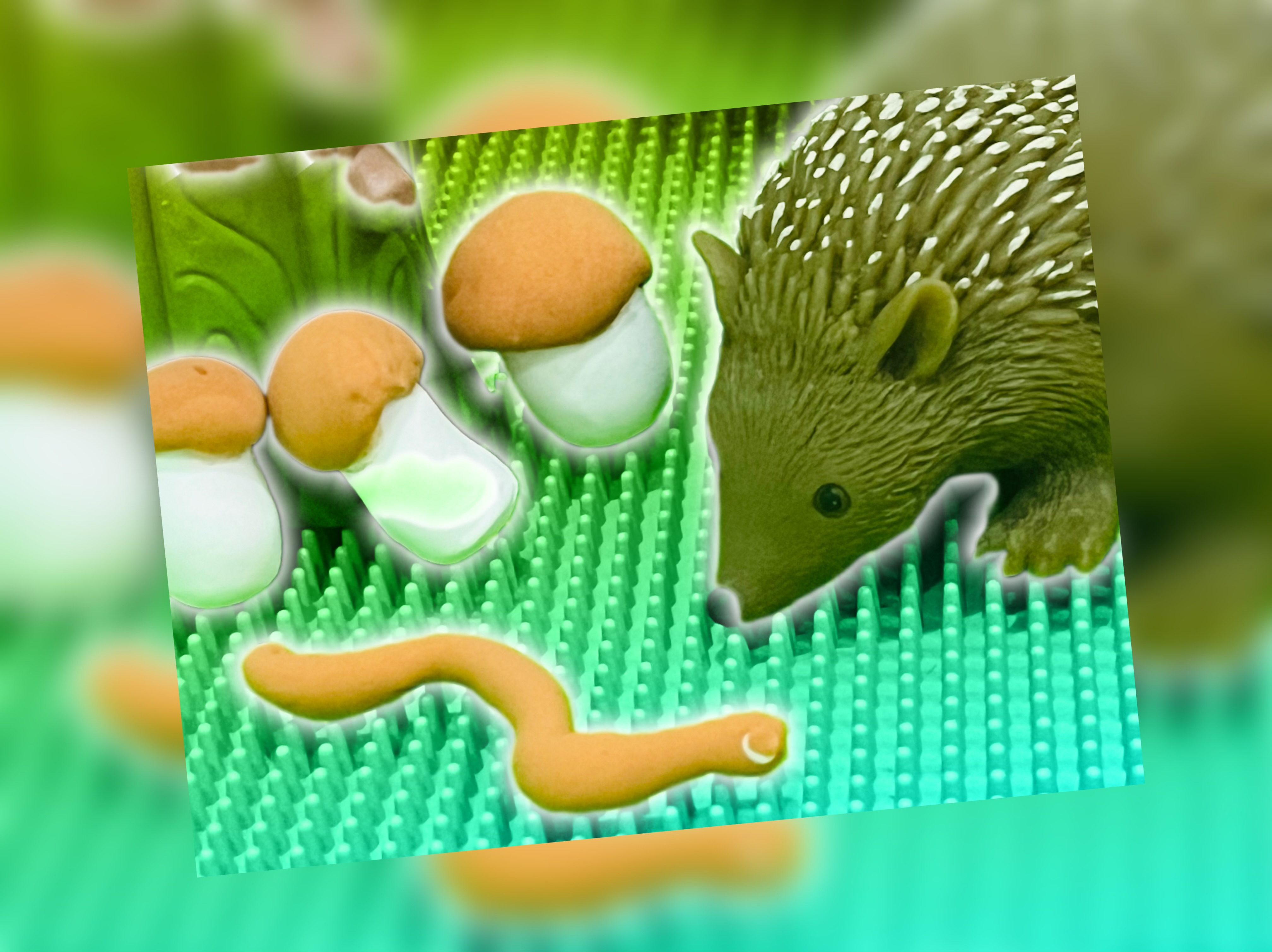 Один день из жизни ежа