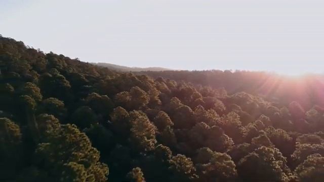 ♫ ? ♫ ♫ Лечебная музыка для глубокого сна и восстановления сил!!!!!.mp4