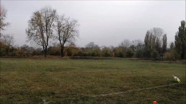 FrisbeeМанія2019   Валентина ПРТ Тиса.mp4