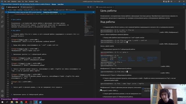 lab06 Создание отчёта.mp4