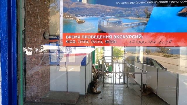 Крым, Орджоникидзе.  Отдых в Крыму 2022 год..mp4