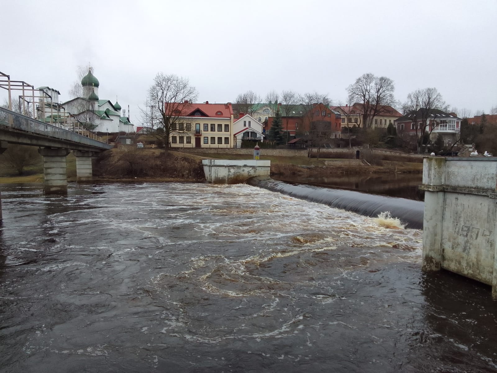 Птичий базар