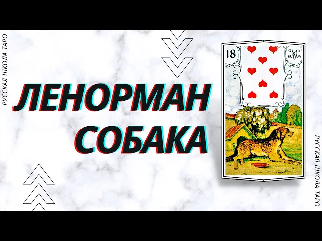 ? ОРАКУЛ ЛЕНОРМАН | СОБАКА ?