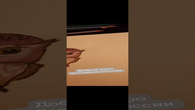 Доброе утро от Совы из России