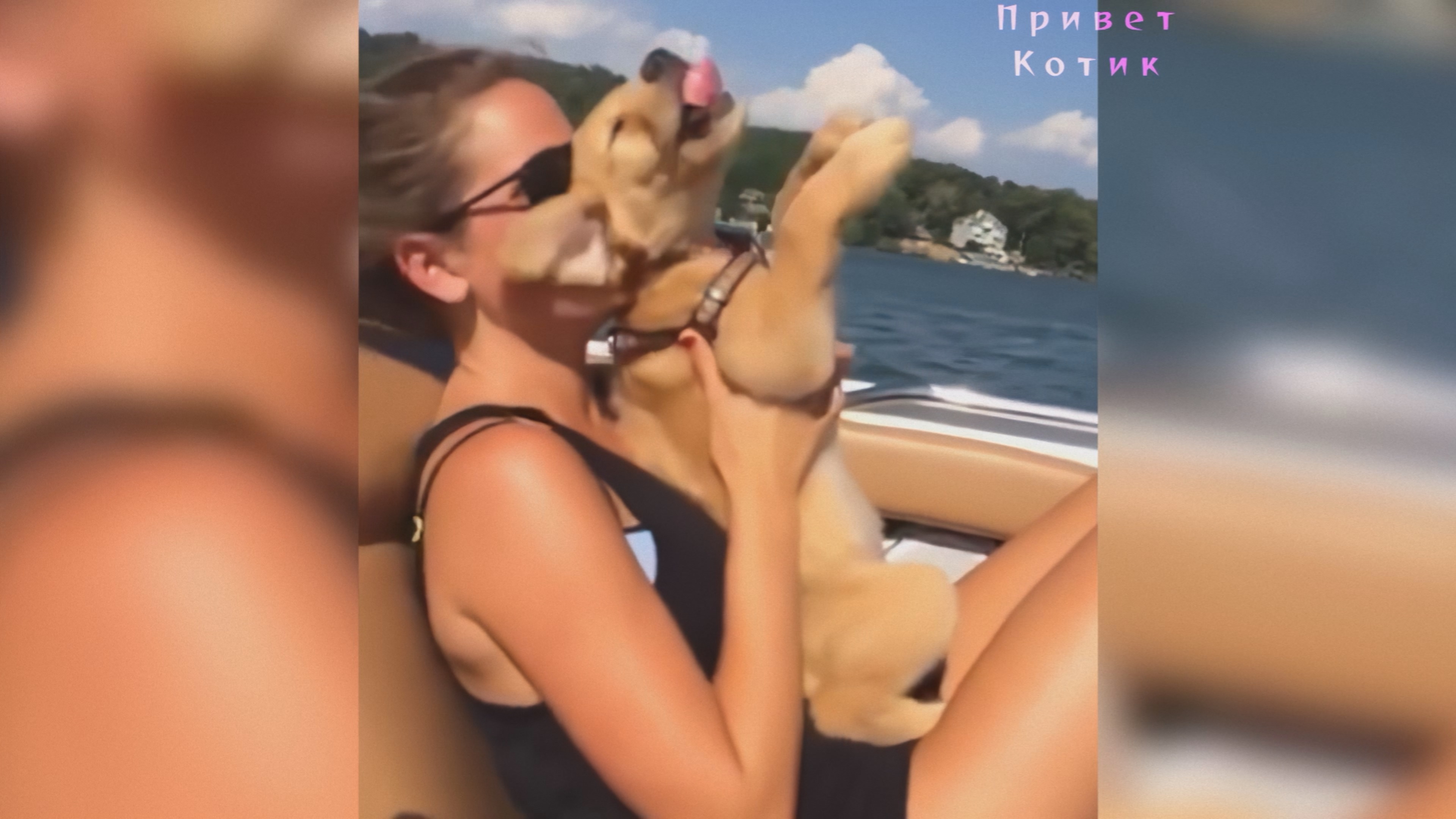 Я понял для чего НУЖНЫ ЖИВОТНЫЕ!!! ???(25).