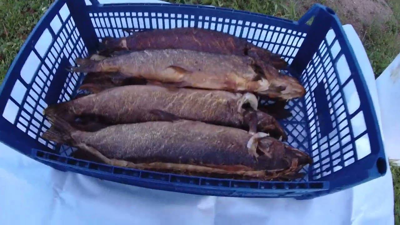 дача. отдыхаем. коптим рыбу