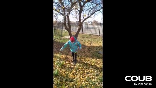 Листья желтые над городом кружатся - коуб