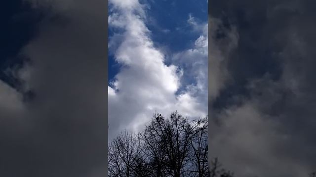 О Господи, какая тишина! Зинаида Миркина