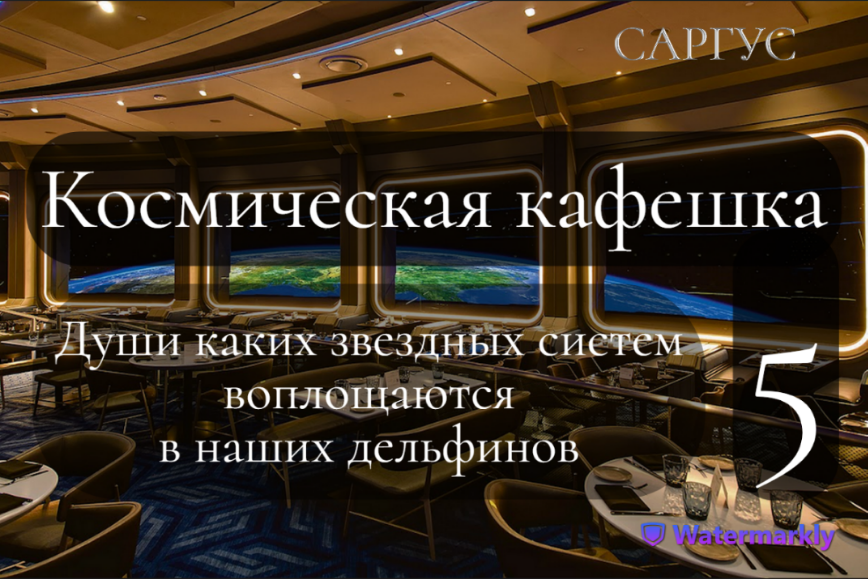 #72 КОСМИЧЕСКАЯ КАФЕШКА. Души каких звездных систем воплощаются в наших дельфинов. Часть 5.