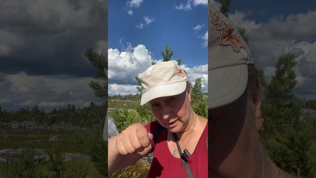 ТерПуты. Сколько стоит карельская лопаточка?