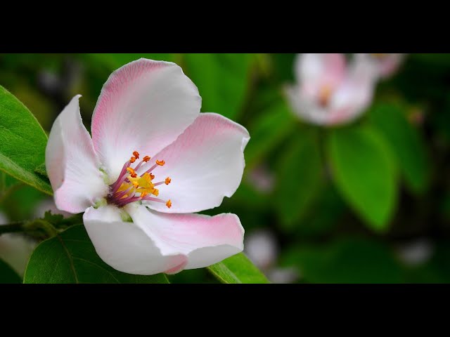 Творческая Встреча | Санкт-Петербург | Выбор мантры
