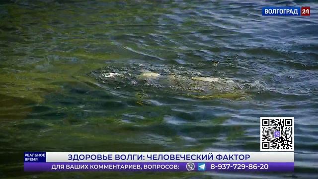 Реальное время. ВГТРК