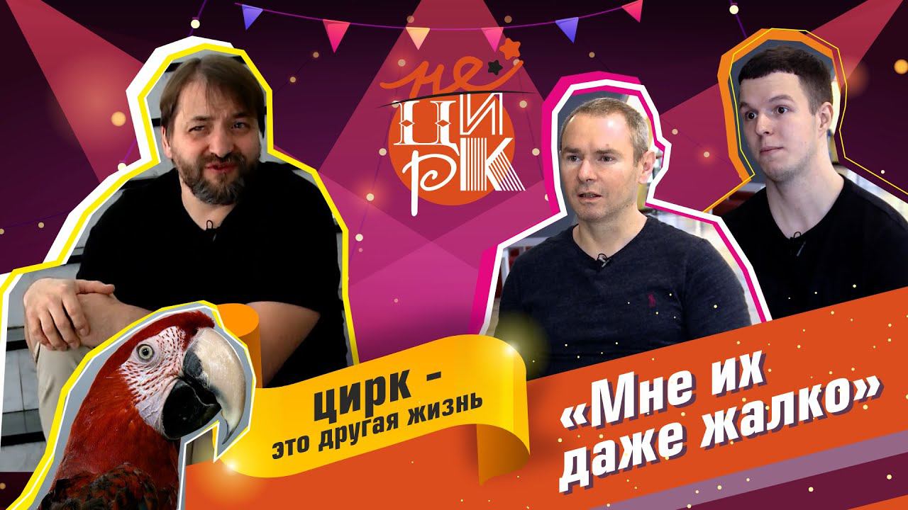 "Мне их даже жалко..." | Знакомство с наставниками. Часть 3