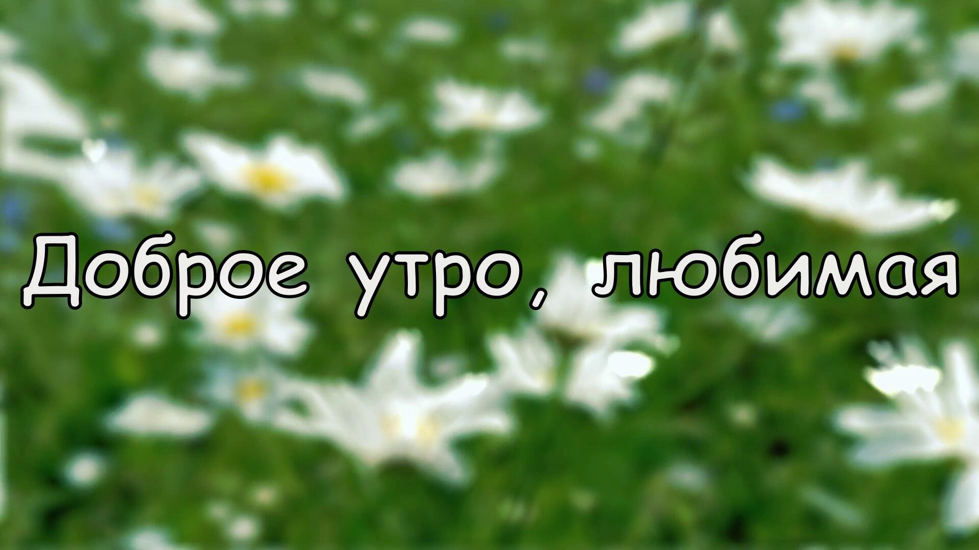 Доброе утро, любимая. Стихи о любви