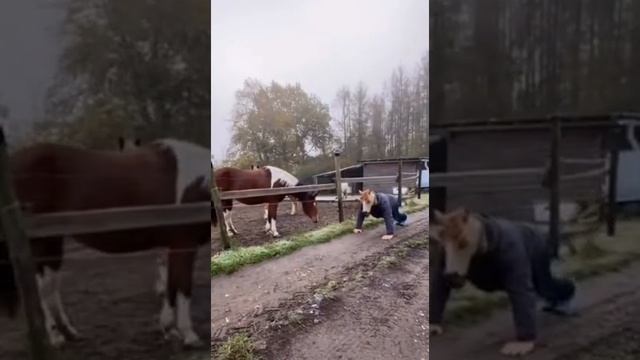 Человек-пони