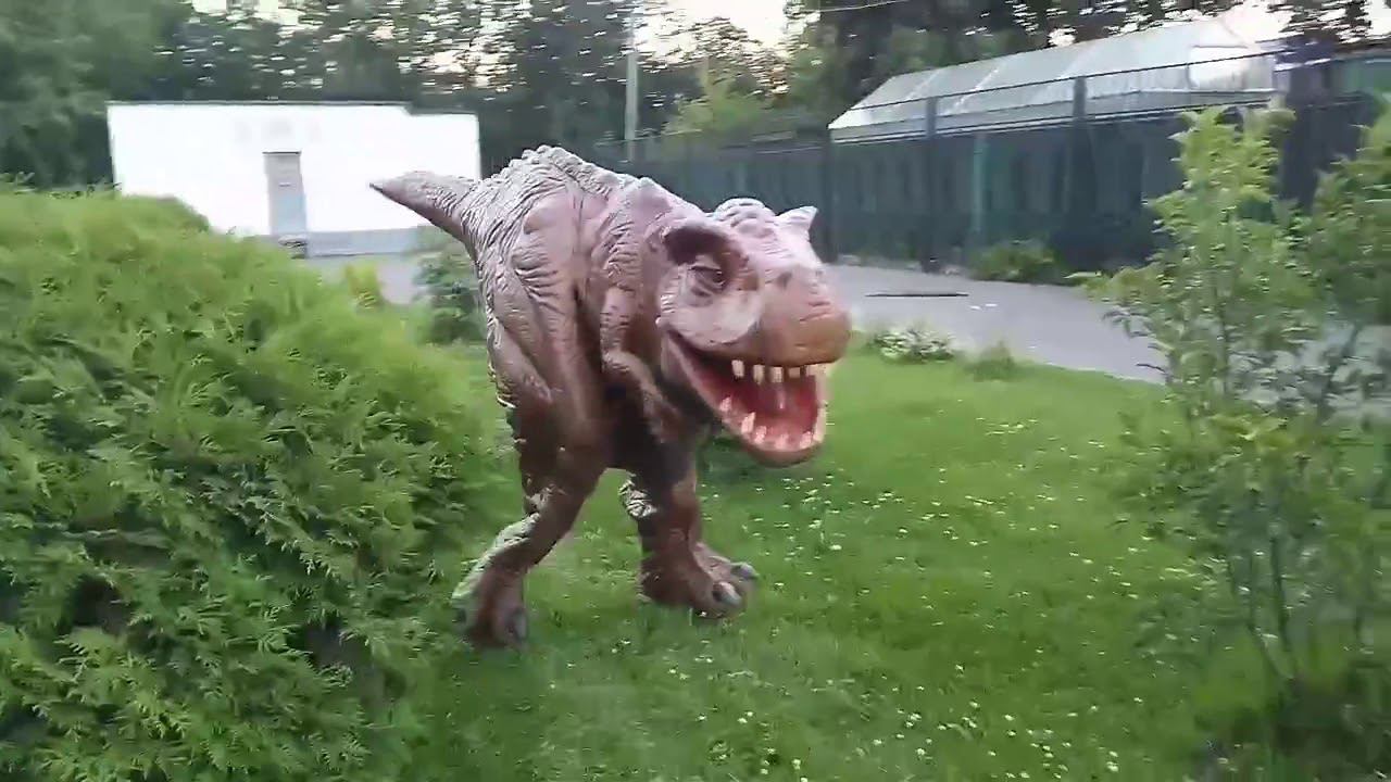 Тираннозавр