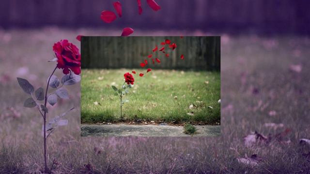 Завял любви цветущий сад