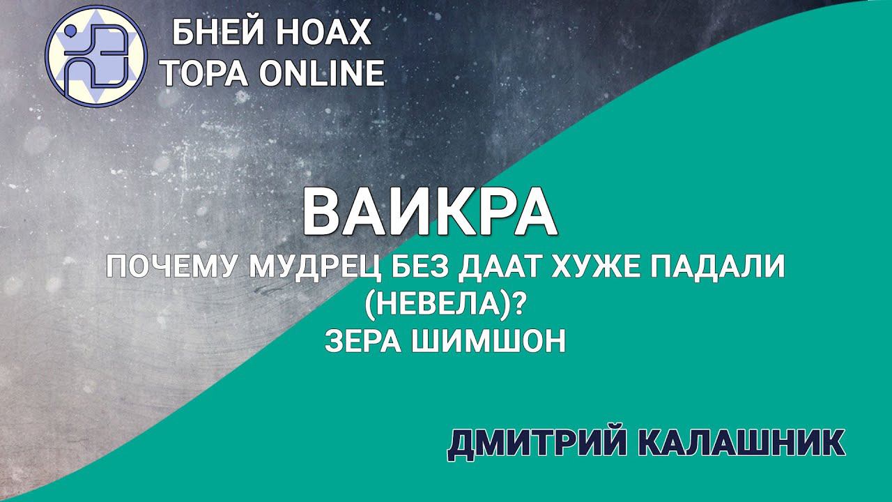 Почему мудрец без даат хуже падали (невела)? Зера Шимшон 2. Недельная глава Ваикра