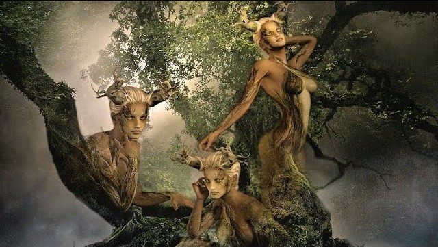 КАКОЕ ТЫ ДЕРЕВО ПО РОЖДЕНИЮ. ВЕДЬМИНА ИЗБА ИНГА ХОСРОЕВА.mp4