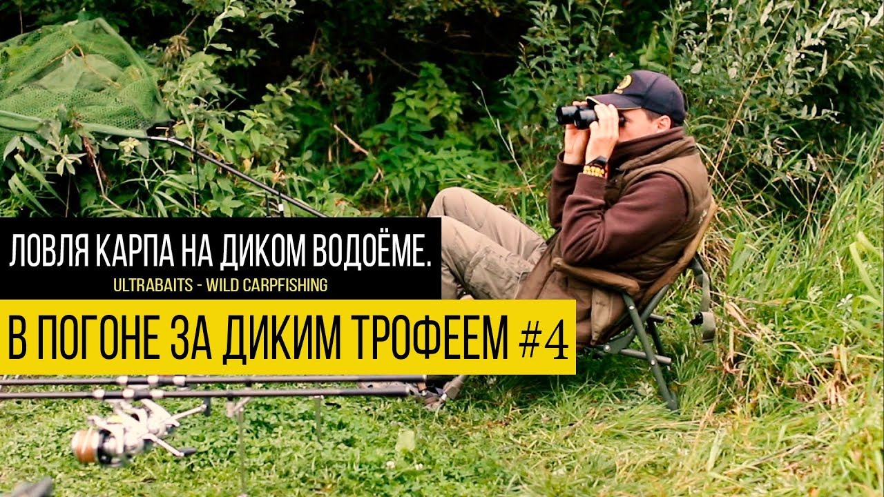 В погоне за диким трофеем #4. Ловля карпа на диком водоёме.