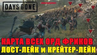 Days Gone карта орд_days gone все орды ЛОСТ-ЛЕЙК_days gone все орды __days gone все орды на карте!!!