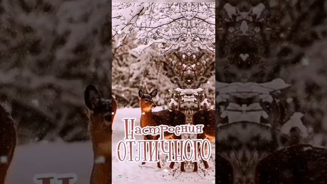 Доброго зимнего дня