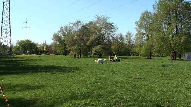 Турнир Победы. Светлана и Космос..mp4