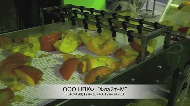 Конвейерная линия подачи на переработку овощей, фруктов, ягод