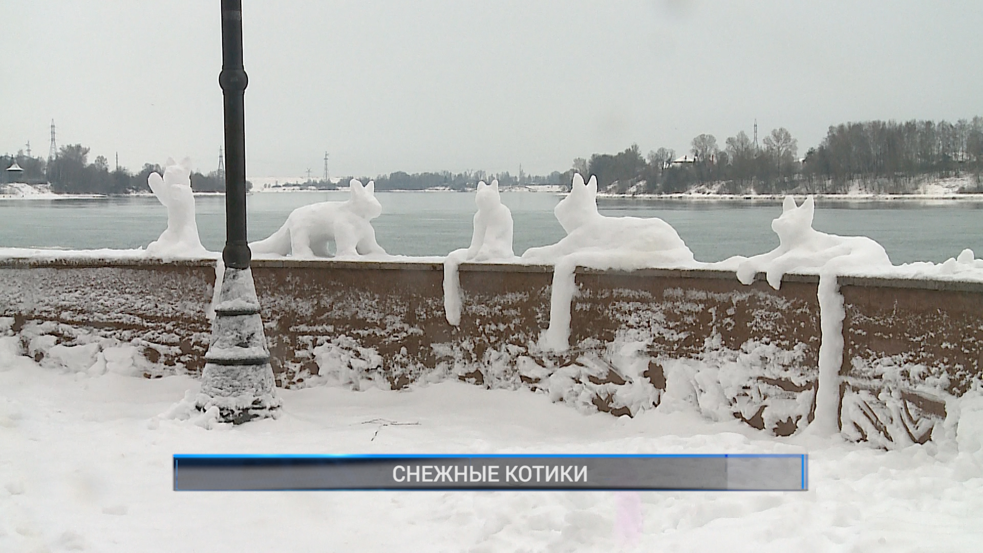 (Рыбинск-40) СНЕЖНЫЕ КОТИКИ