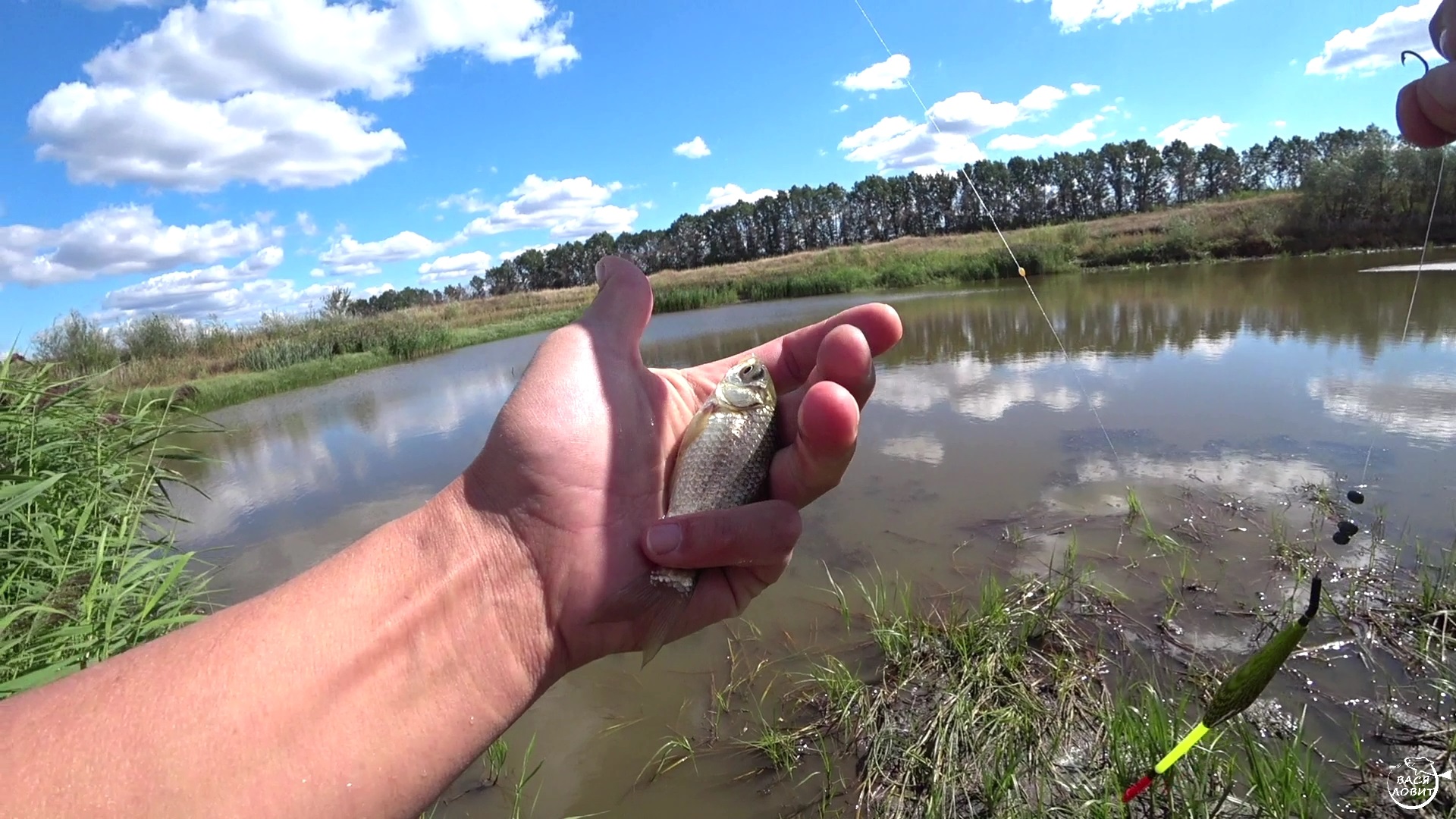 Ловля живца, копка медведки. Подготовка к осеннему сезону (19.09.2021)