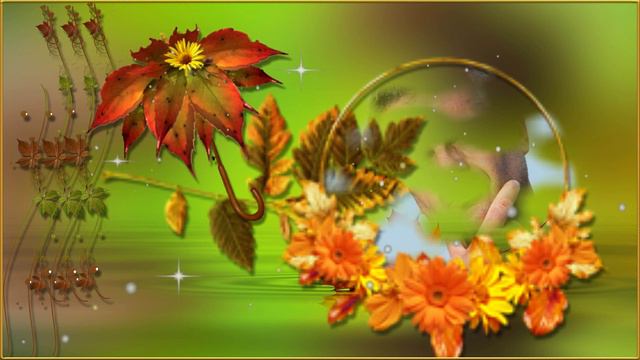 КОГДА ЗАБУДУ Я ТЕБЯ - ст. Е. Дубиц, муз и исп В. Мотор