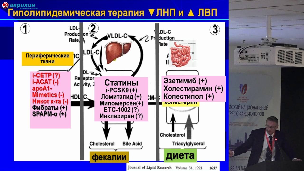 Возможности клинического применения эзетимиба