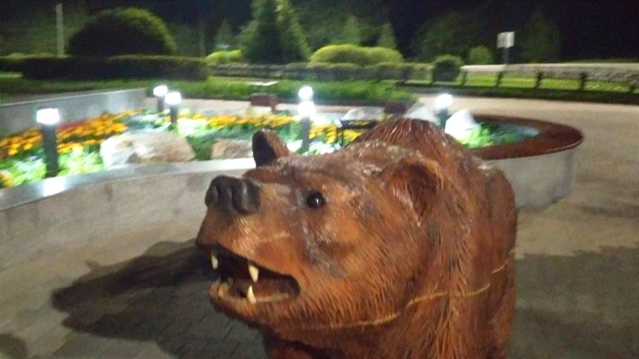 Северск Три медведя