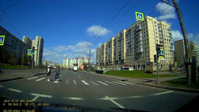 Наглые гусыни