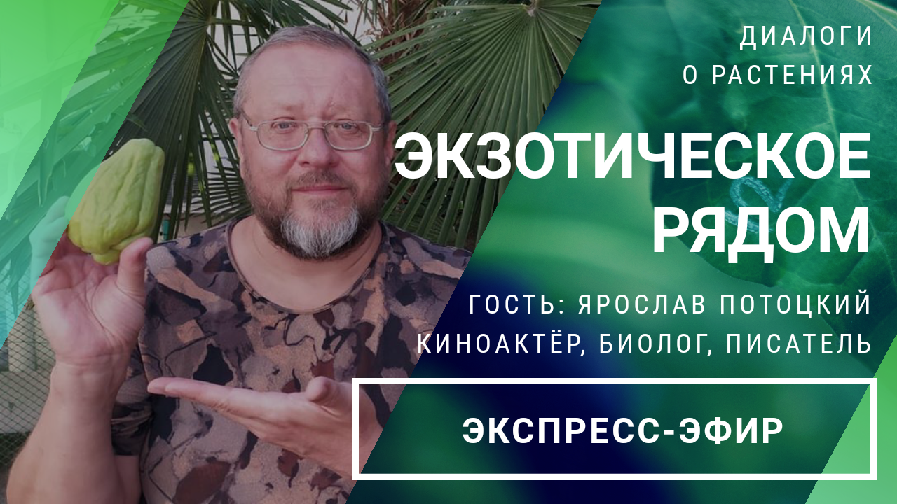 Прямой эфир «Экзотическое рядом» // 18.10.2020