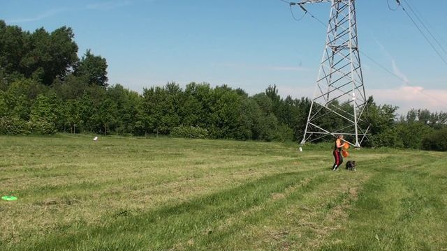 Захватывающие диски Елена и Мышь.mp4